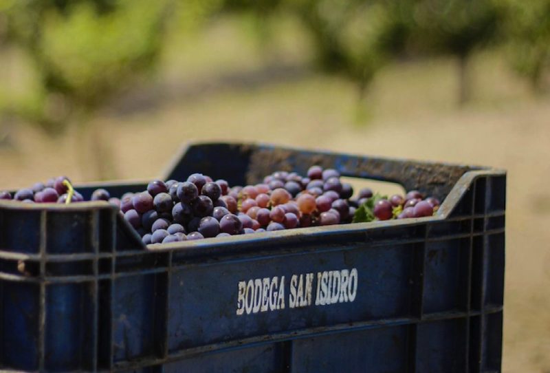 About Us | Barsol Pisco